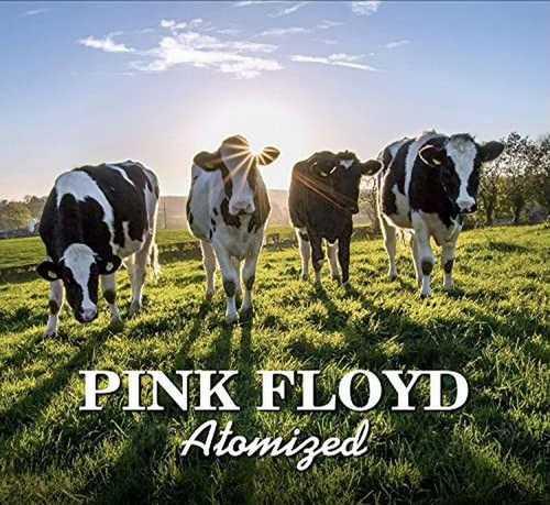 Виниловая пластинка Pink Floyd - Atomized (John Pe