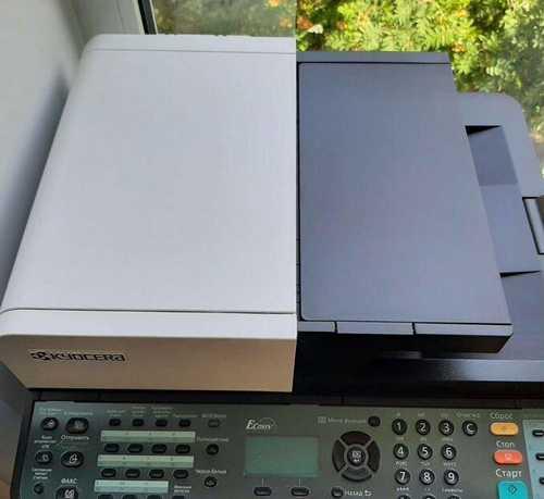 Принтер лазерный мфу kyocera ecosys M5521cdw