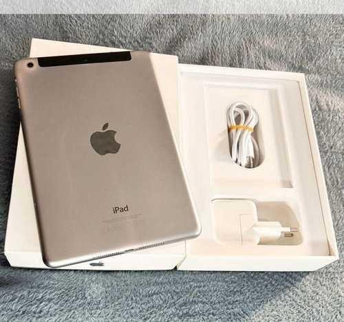 iPad mini 2