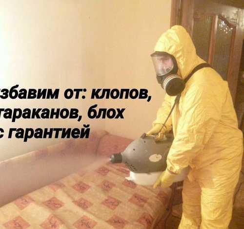 Средство от тараканов блох