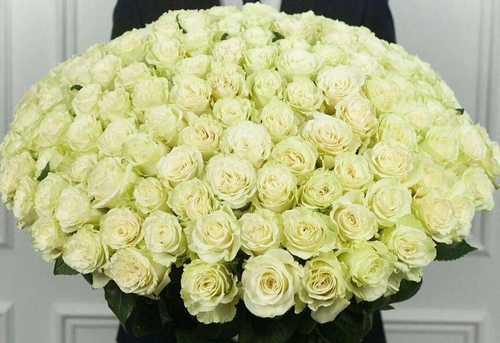 Букет из 151 розы «Монамур» 60 см