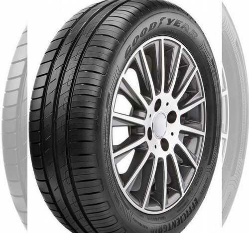 Goodyear EfficientGrip Performance 205/55 R19 97H