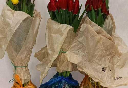 Тюльпаны на луковице к 8 марта розница