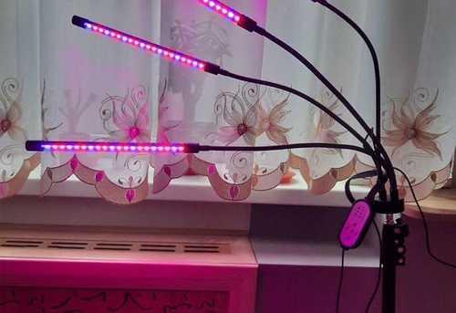 Светодиодные лампы для растений