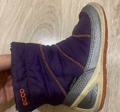 Демисезонные сапожки Ecco Gore Tex 21