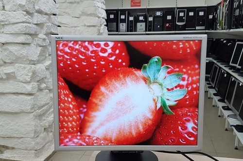 Монитор NEC MultiSync LCD2170NX, 21" дюйм, S-PVA