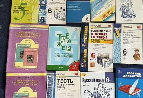 Русский язык и литература для 5-6 и 2-4 классов
