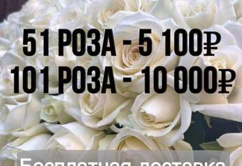 101 Роза 51 Роза с Бесплатной Доставкой