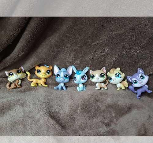 Littlest Pet Shop lps лпс с аксессуарами