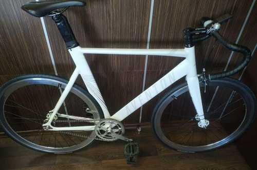 Aventon mataro