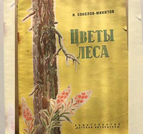 Цветы леса Соколов-Микитов И.С. Детская книга