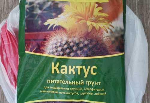 Питательный грунт для кактусов и суккулентов 2.5 л