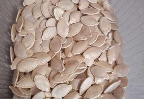 Семена кабачков (ассорти)