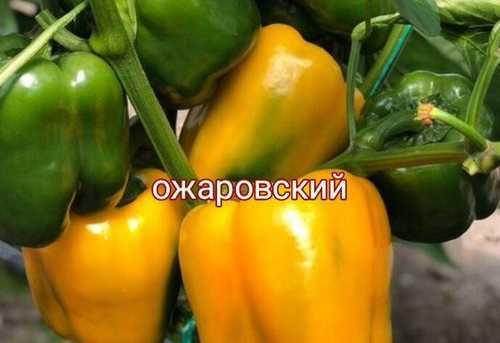 Семена раннего, урожайного перца