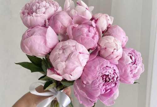 Пионы крупные розовые премиум доставка цветы