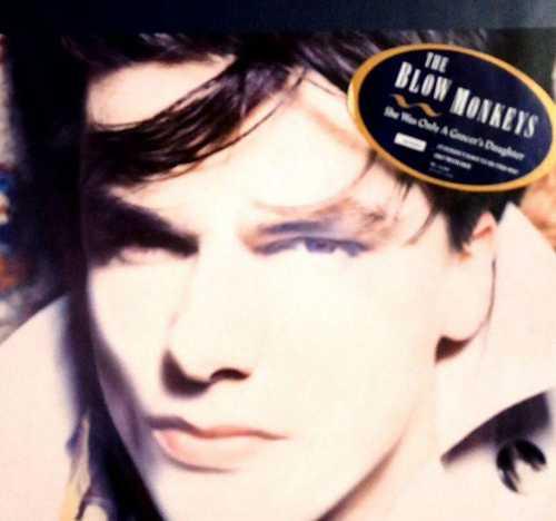 Виниловые пластинки The Blow Monkeys