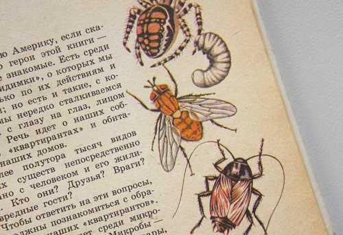 Книга о насекомых. Живые организмы 1976 год