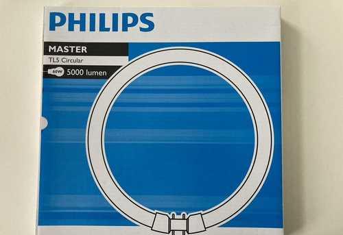 Кольцевая люминесцентная лампа Philips 2GX13
