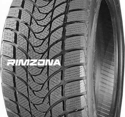 Pace ANTARCTICA 5  255/45 R19 100H