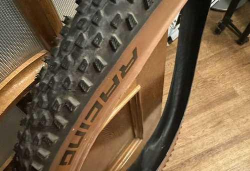 Покрышка Schwalbe Racing Ray 29x2,25