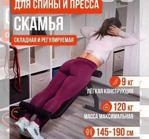 Спорт