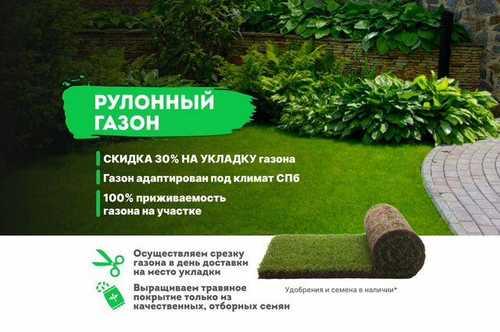 Рулонный газон Стандарт для участка