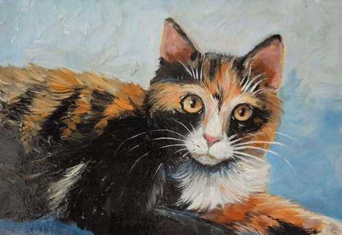 Картина маслом "Котёнок" 18*24