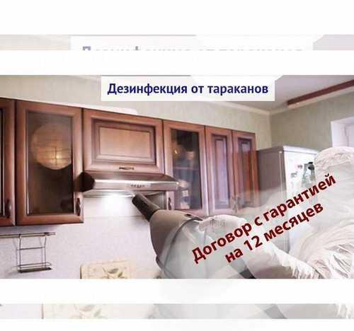 Уничтожение клопов тараканов