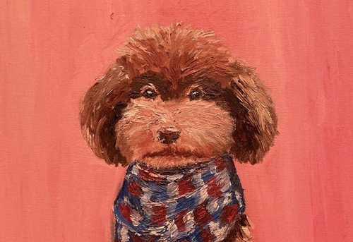Картина маслом "Собака в шарфике"