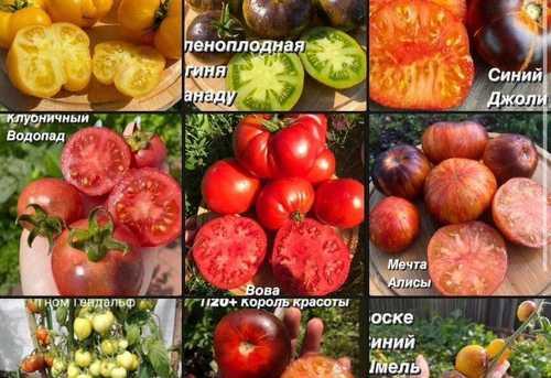 Набор семян томатов "Топ 13"