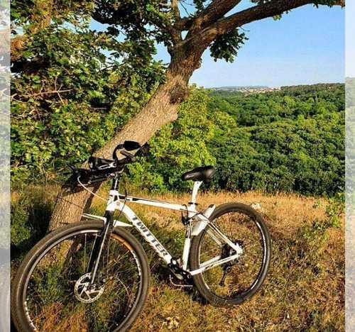 Twitter 29er найнер 2024 ригид gravel mtb