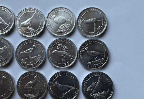 Турция 1 куруш 2020 Анталийские птицы 12 монет