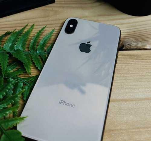 iPhone X, 256 ГБ