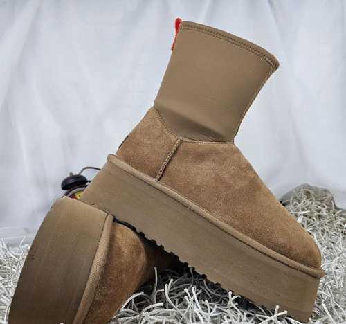 Ugg Classic Dipper Chestnut