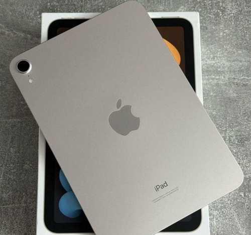 iPad mini 6