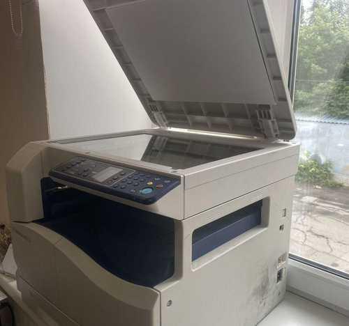 Мфу лазерный xerox workcentre 5019