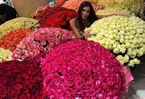 Розы, огромные большие букеты из роз