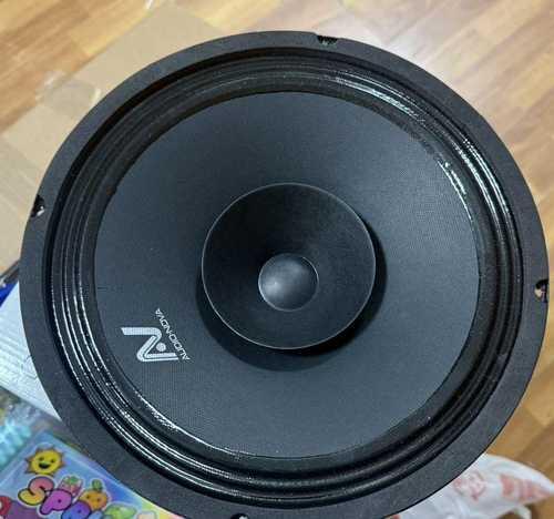Динамики 10 дюймов Audio nova sl 250 100вт