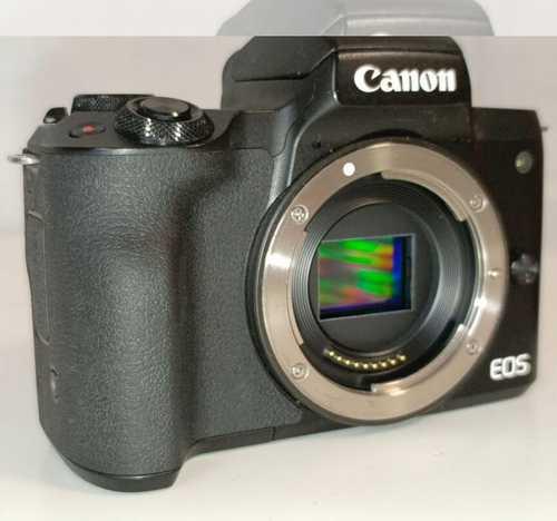 Canon m50 body