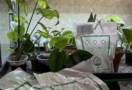 Пакет-Генератор CO2 ускоренный рост растений