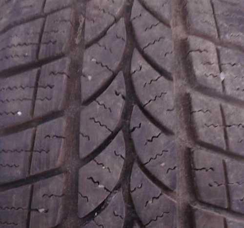 Tigar Winter 1 205/55 R16 94H