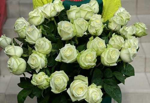 Высокие белые крымские розы