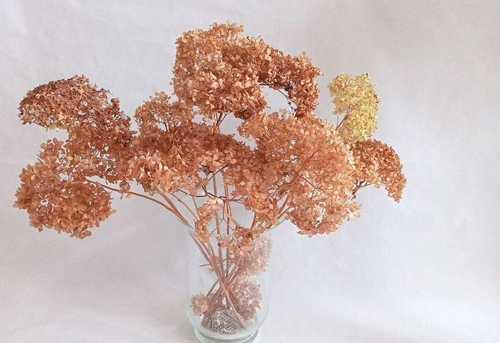 Букет гортензия на стебле сухоцвет для декора