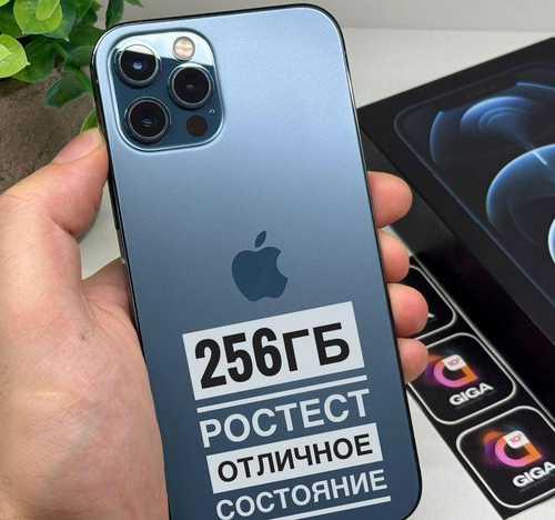 iPhone 12 Pro, 256 ГБ