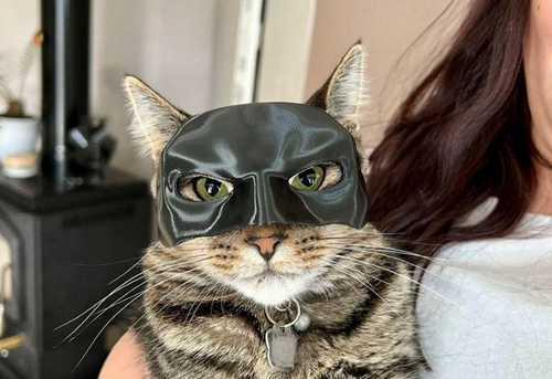 Маска для кота BatCat