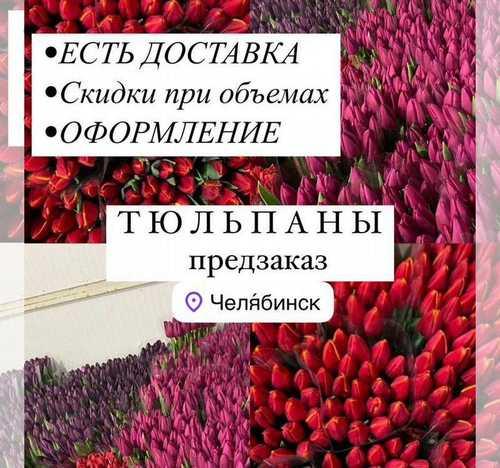 Тюльпаны к 8 марта букет элитные