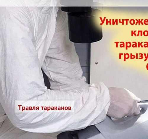 Уничтожение клопов тараканов клещей