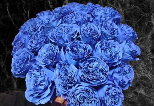 Розы (60 см) синие Эквадор 29 шт