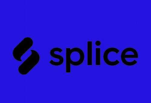 Splice Sound+ семплы звуки 3 месяца