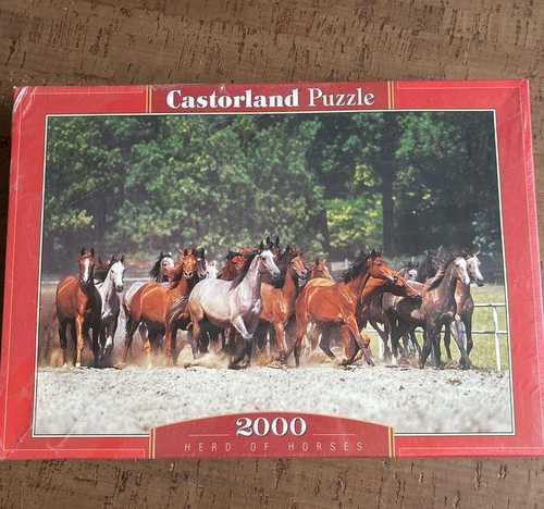 Пазлы 2000 Castorland